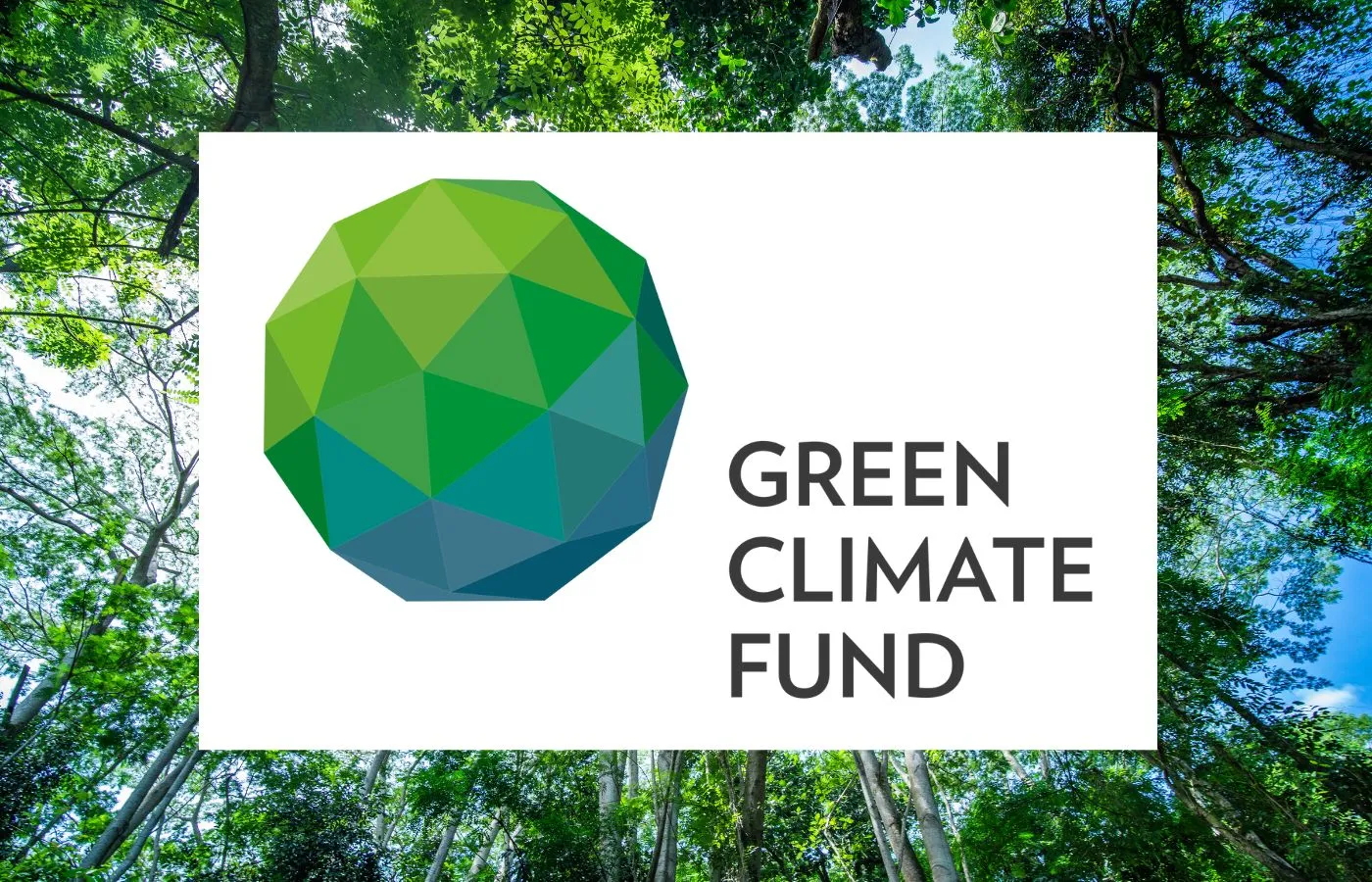 World’s Top Climate Investor Green Climate Fund Rolls Out $1.5B Plan ...